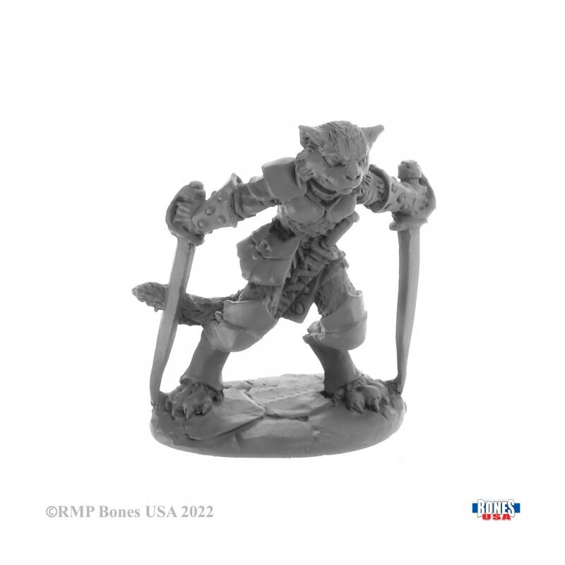 Catfolk Rogue, Shadoweyes, 5,99